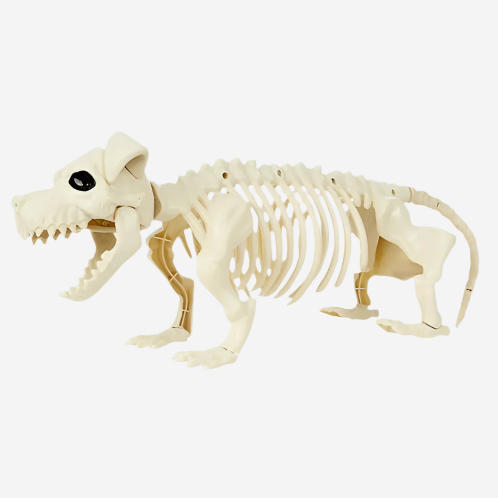 Dog Skeleton Prop – The Balloon Works